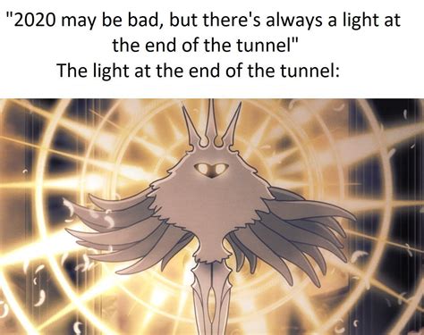 2020 Hollow Knight Know Your Meme