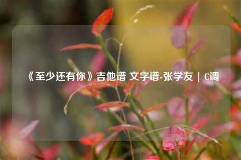 吉他文字谱大全简单吉他谱流行歌简谱全集