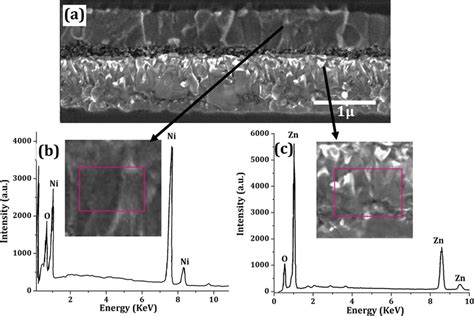 A Cross Sectional SEM Image Of The Fabricated Solar Cell B EDS Spectra