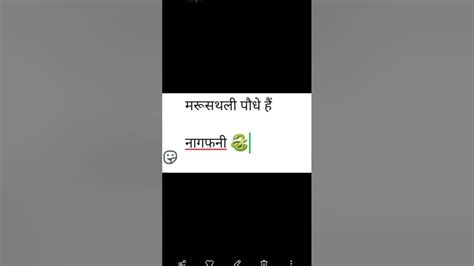 Class 678 Read Youtube