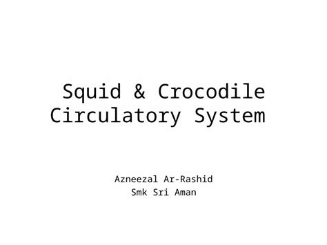 Ppt Squid And Crocodile Circulatory System Dokumen Tips