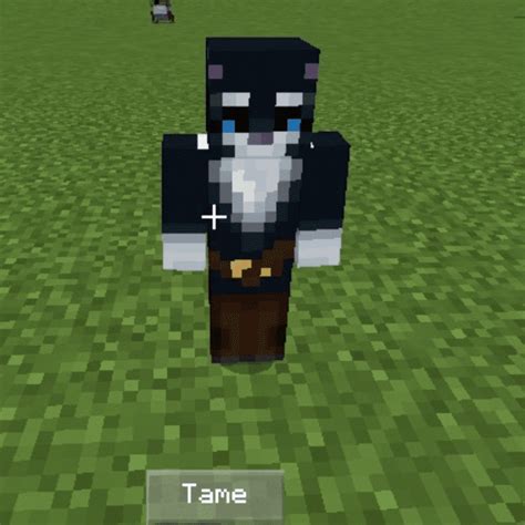 Puss In Boots 2 Addon Mcpe 1minecraft