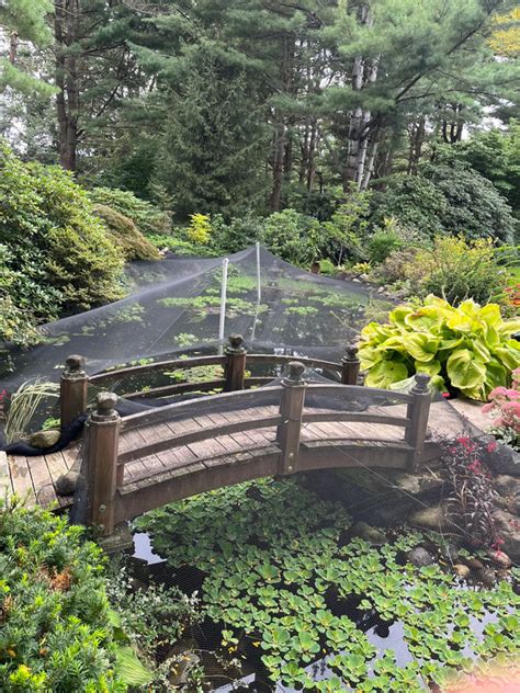 How To Install Leaf Netting Awm Water Features