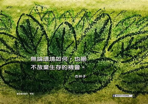 劉俠．杏林子粉絲頁 無論環境如何，也絕不放棄生存的機會。 ─杏林子摘錄自 我們 生命草