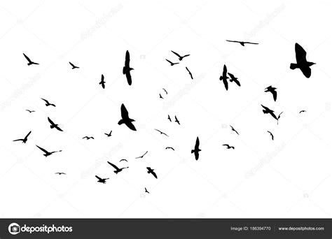 Flying Birds Silhouettes On White Background Vector Illustration Isolated Bird Flying Stock