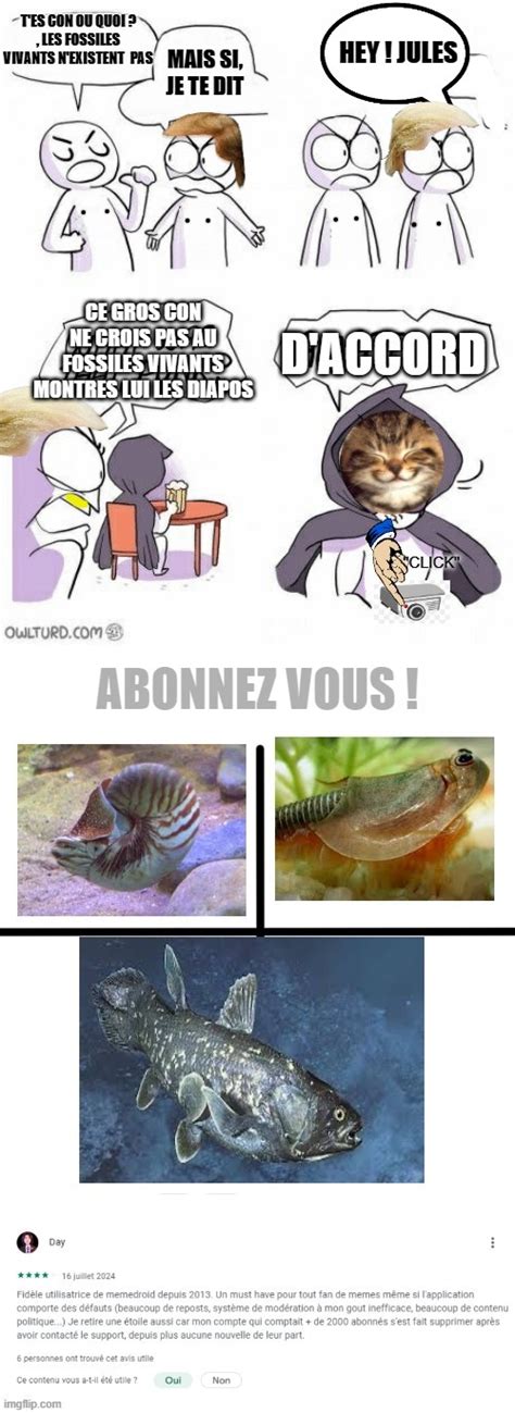 Les Meilleurs Mèmes Fossils Memedroid