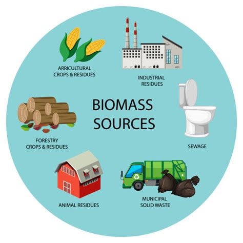 110 Biomass Energy Clip Art Stock Illustrations Royalty Free Vector