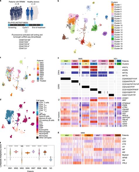 Co Expression Of Multiple Transcriptional Signatures In Mm Cells A Download Scientific Diagram