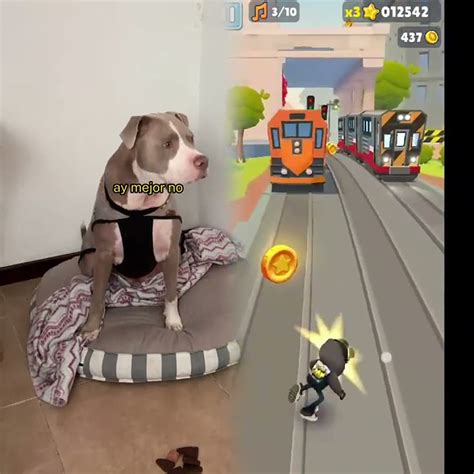 Funny Game Pyp Storytime Pov Duet Pypviraltiktok Pypシ Youtube