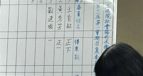 民進黨跑票也有迴力鏢！綠委「不小心蓋給自己」網酸：小學生都不會投錯 民生電子報