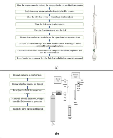 Flowchart For Extraction By A Soxhlet Extraction And B Supercritical Download Scientific