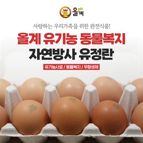 유기농식탉 올계란 계란 닭고기 유기농 사육환경 번호 1번 자연방사 올계 닭 다양한 축산형태 중에서도 유기축산은