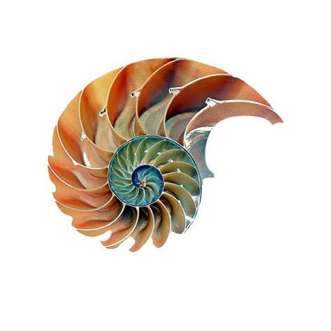 Best Calculus Courses And Certifications 2023 Coursera