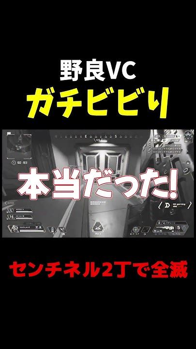 センチネル2丁で野良キャリーしたら反応おもろすぎw【apex】【爪痕ダブハン元プレデター】 Youtube