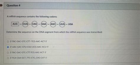 Solved A Mrna Sequence Contains The Following Codons
