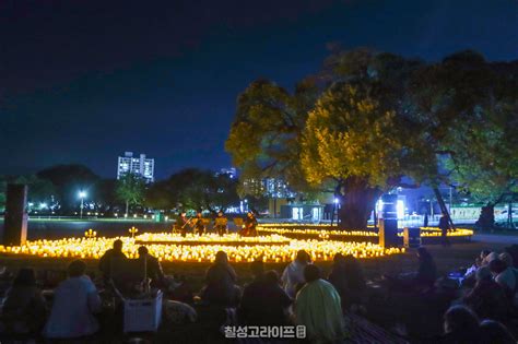 경북 성주군 성밖숲 한국 대표 야간관광 콘텐츠 ‘대한민국 밤밤곡곡 100 최종 선정