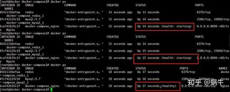 39 Docker之docker Compose （2） 知乎