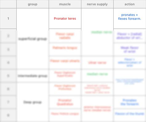 Solution Flexors Of Forearm Studypool