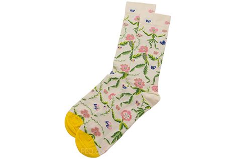 Bonne Maison Dance Socks in Multi : Ped Shoes - Order online or 866.700 ...