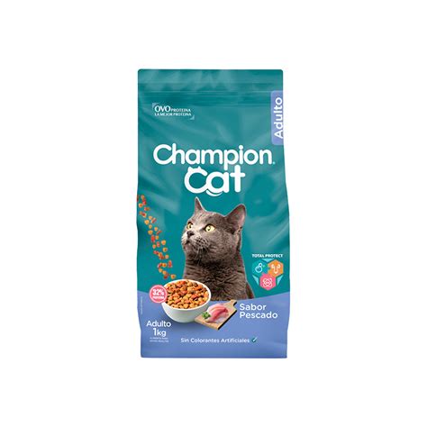 Champion Cat