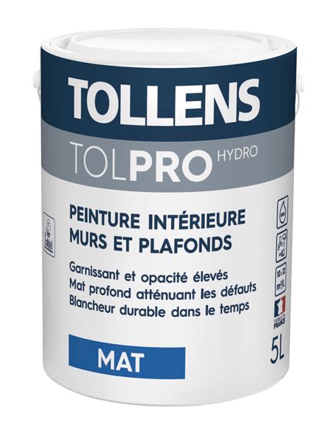 Peinture Mur Et Plafond Blanc Mat Tollens Tolpro 5l Leroy Merlin