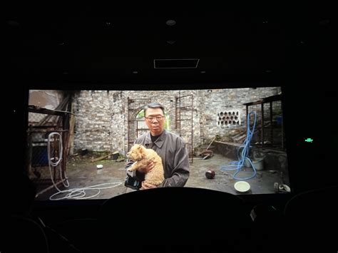 电影《忠犬八公》观后感 哔哩哔哩