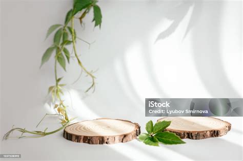 그림자와 흰색 배경에 프리젠 테이션 및 전시회를위한 자연 둥근 나무 스탠드 유기농 화장품을 위해 녹색 잎으로 3d 빈 연단을 모의 공간을 복사합니다 0명에 대한 스톡 사진