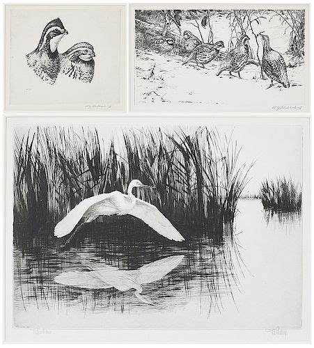 Three Sporting Etchings Sold At Auction On 14th July Brunk Auctions