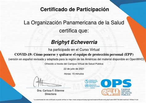 Covid 19 Como Ponerse Y Quitarse El Equipo De Proteccion Personal Pdf