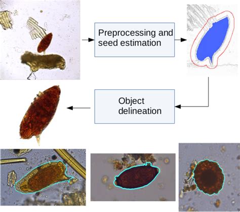 Data Flow Of The DAPI System Download Scientific Diagram