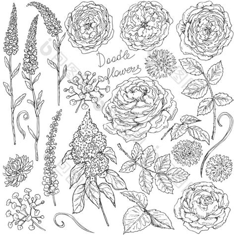 花和叶子的素描集图片 包图网企业站