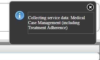 RSR Validation Report JProg Support RSR Validation Report JProg Support