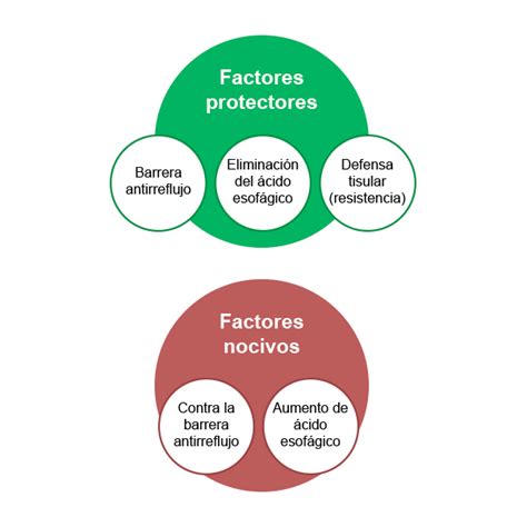 Uapa Enfermedades Cido P Pticas