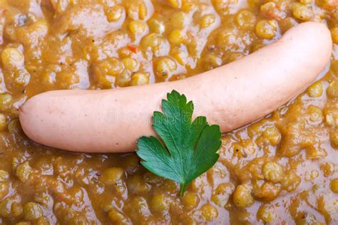 Wiener Stock Image Image Of Brown Frankfurter Frank