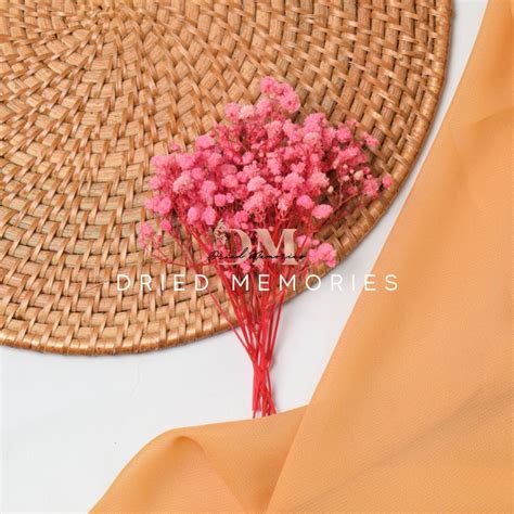 Dried Small Gypsophila Preserved Dried Flowers Dried Memories Ph