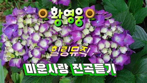 황영웅 미운사랑 전곡듣기 Youtube