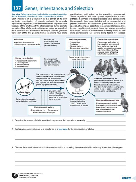137 Genes Inheritance And Selection Pdf Natural Selection