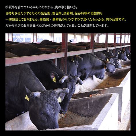 A5ランクの松阪肉使用！「松阪肉 丸賢」松阪牛カレー（1人前）＜ポイント交換＞： デイマート