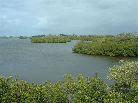 Sebastian Inlet State Park Natural Atlas
