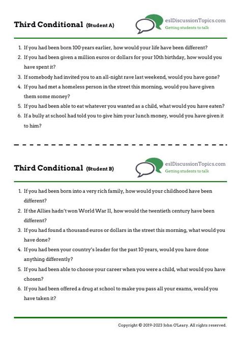 Third Conditional Grammar Based Questions