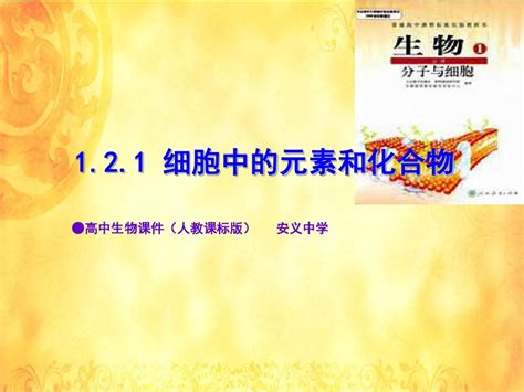 江西省安义中学人教版生物必修一21《细胞中的元素和化合物》课件共16张pptword文档在线阅读与下载无忧文档
