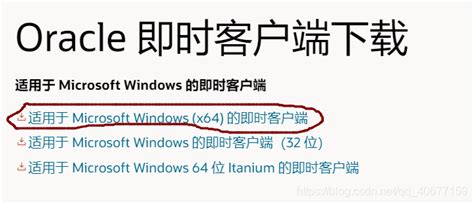 Vs2019 Occi 连接oraclevs2019连接oracle数据库 Csdn博客