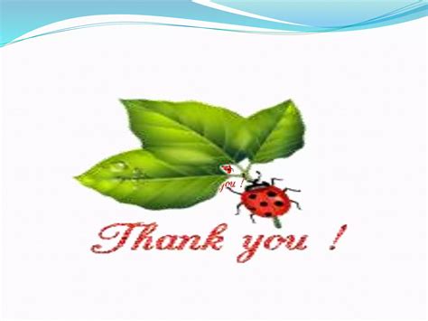 Scp Single Cell Protein Production Pptx