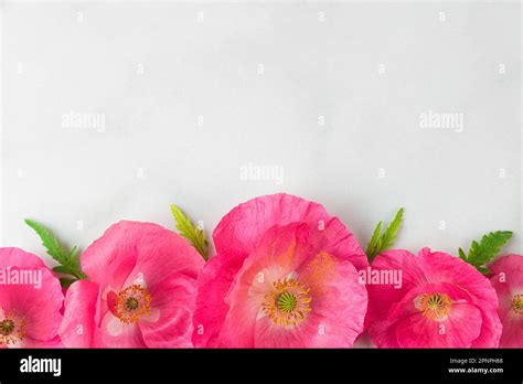 Pink Poppy Flowers On White Marble Background Wedding Card Flat Lay