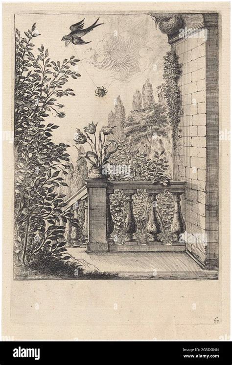 Fabul de l araignée et de l hirondelle Fables d Aesopus Une hirondelle prend une toile avec