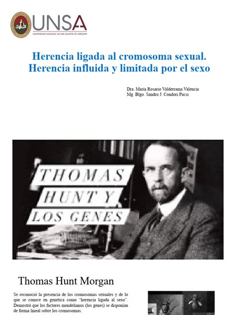 Herencia Ligada Al Cromosoma Sexual Pdf