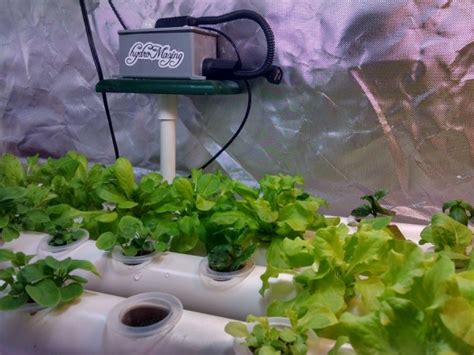 the hydromazing smart garden system
