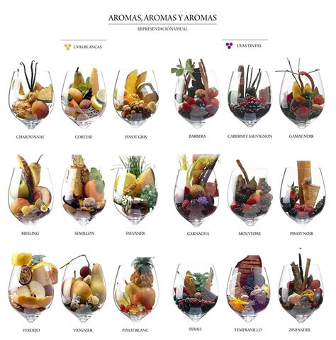 Rutas Del Vino ESP on Twitter Y si viéramos los olores Aquí tenéis una representación