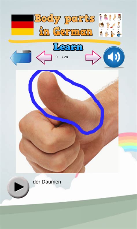 Learn Body Parts In German Apk Für Android Download