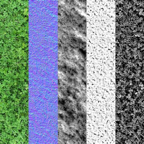 Clover Field Seamless Texture Seamless Textures Grass Seamless Texture